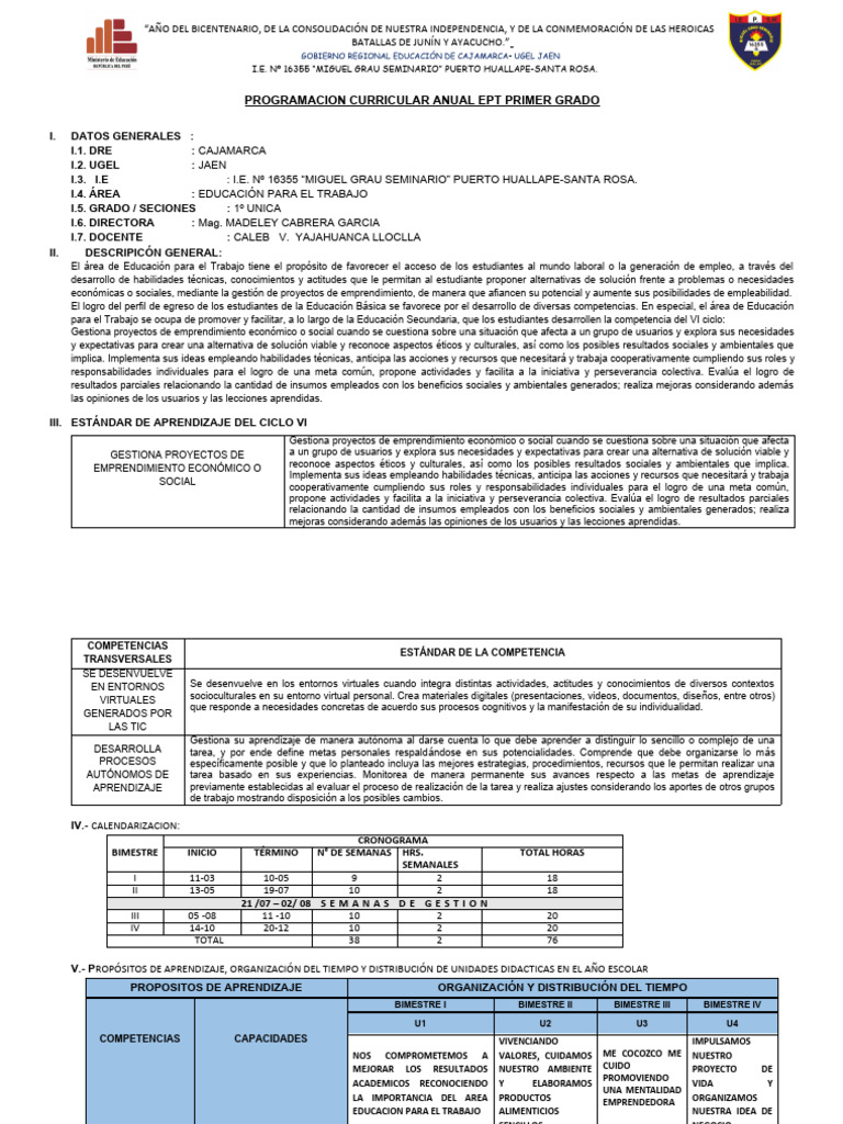 Prog. Anual 1° Ept | PDF | Evaluación | Aprendizaje