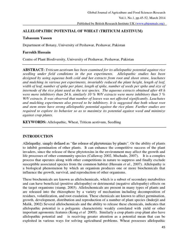 Allelopathic Potential of Wheat Triticum Aestivum | PDF | Wheat | Rice