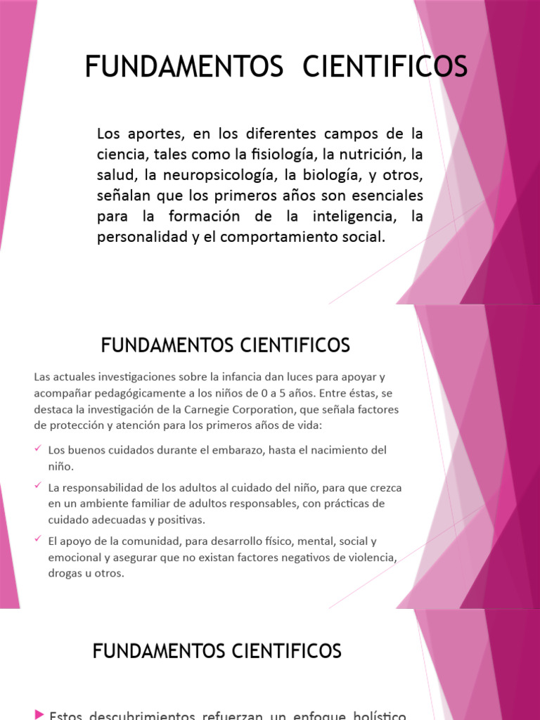 Fundamentos Cientificos Grupo 3 | PDF