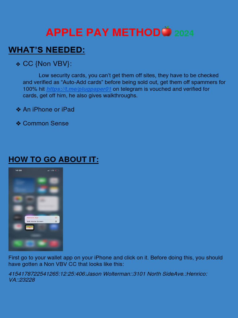 APPLE PAY METHOD 2024 New Motion-1 | PDF