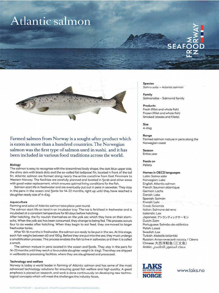 Atlantic Salmon | PDF