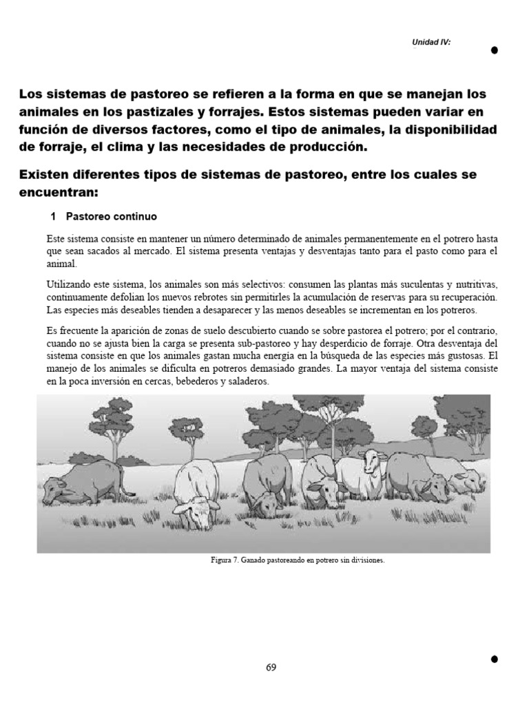 Sistemas de Pastoreo y Manejo Eficiente | PDF | Pasto | Pasto