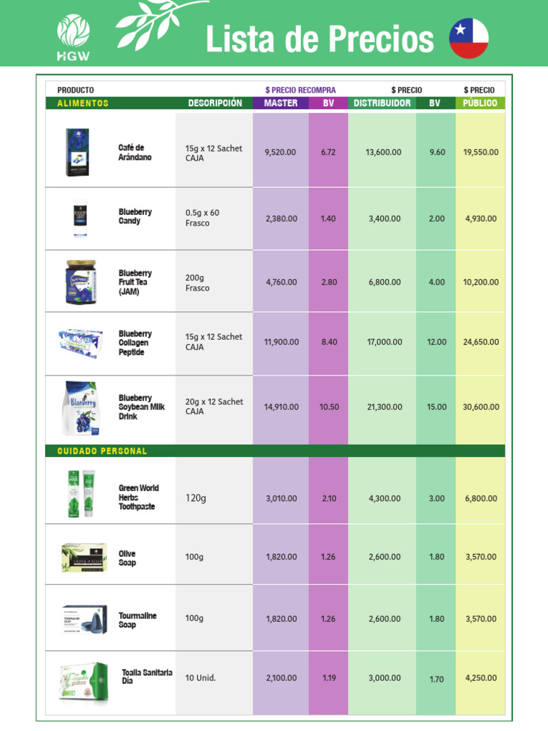 HGW LISTA DE PRECIOS CHILE | PDF