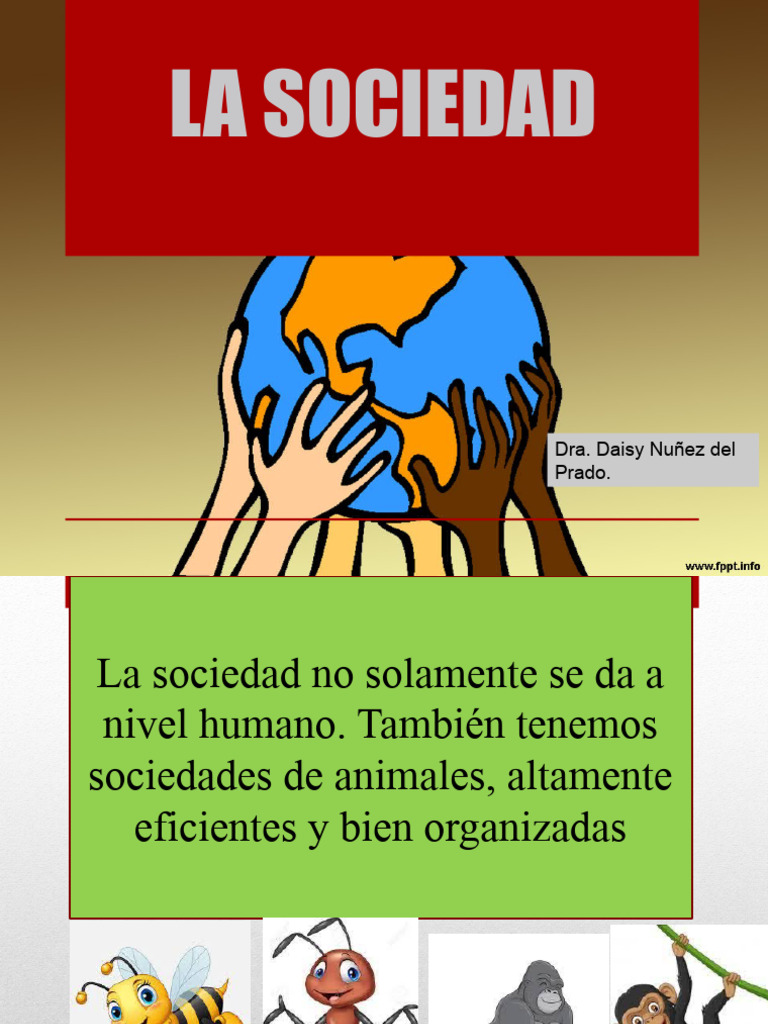 Sociedad Humana vs. Animal: Diferencias | PDF | Sociedad ...