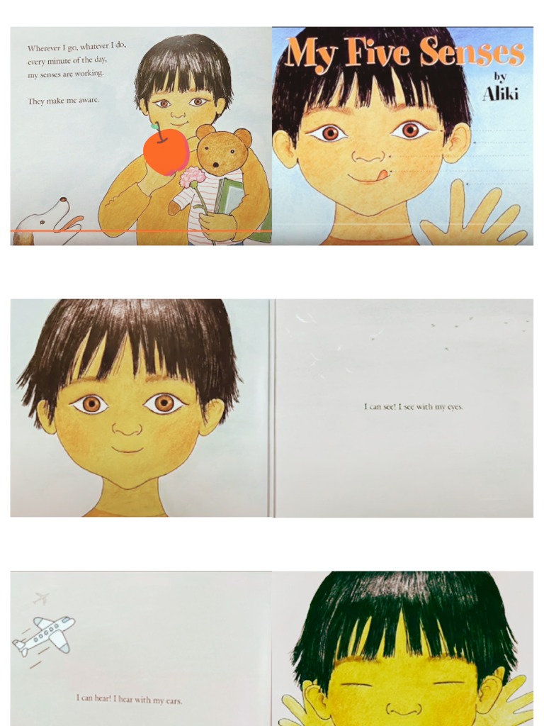 My Five Senses | PDF