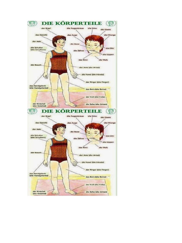 Korperteile | PDF