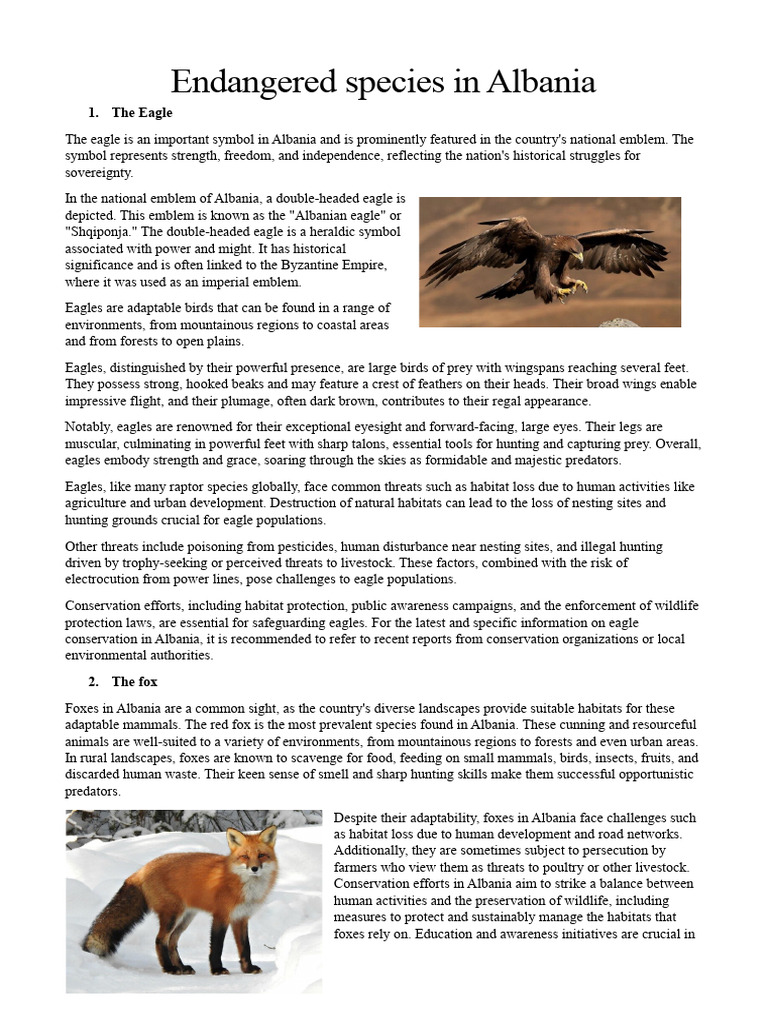 Endangered Eagles and Foxes in Albania | PDF | Eagle | Conservation Biology