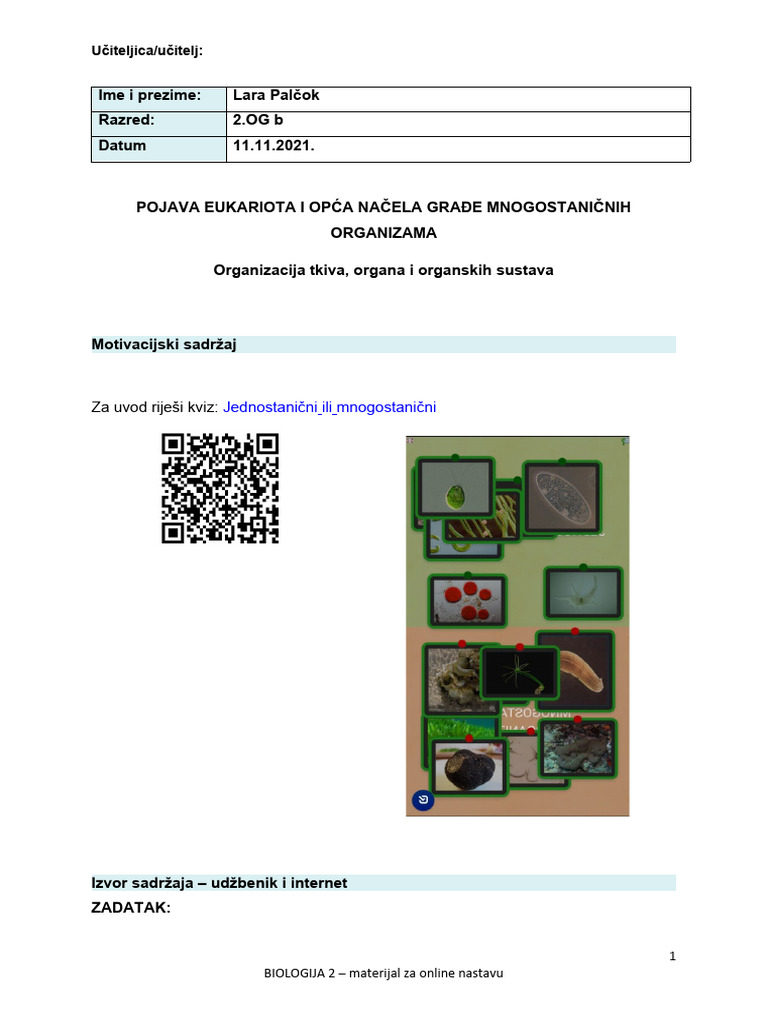 Pojava Eukariota I Razvoj Mnogostaničnih Organizama - Organizacija ...