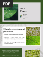 AK - STD 4 - Plants Around Us - Worksheet 2024-25 | PDF | Leaf | Plants