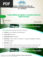 Lesões Elementares da Pele: Guia Completo | PDF | Dor | Inflamação