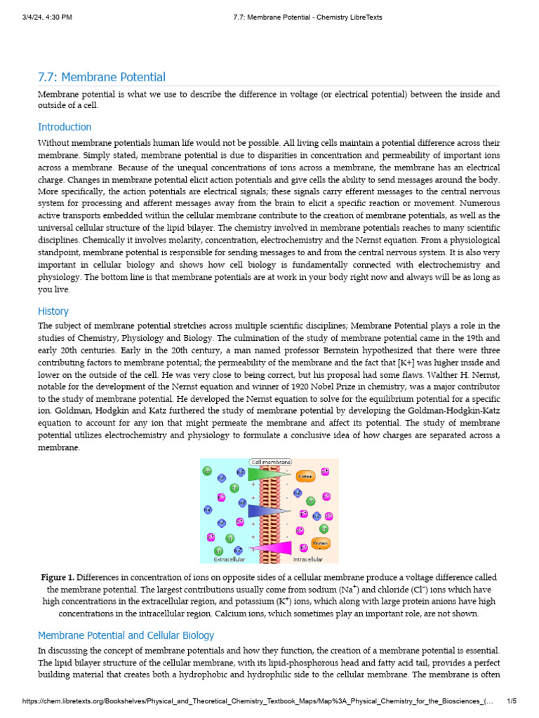 Understanding Membrane Potential in Cells | PDF | Membrane Potential ...