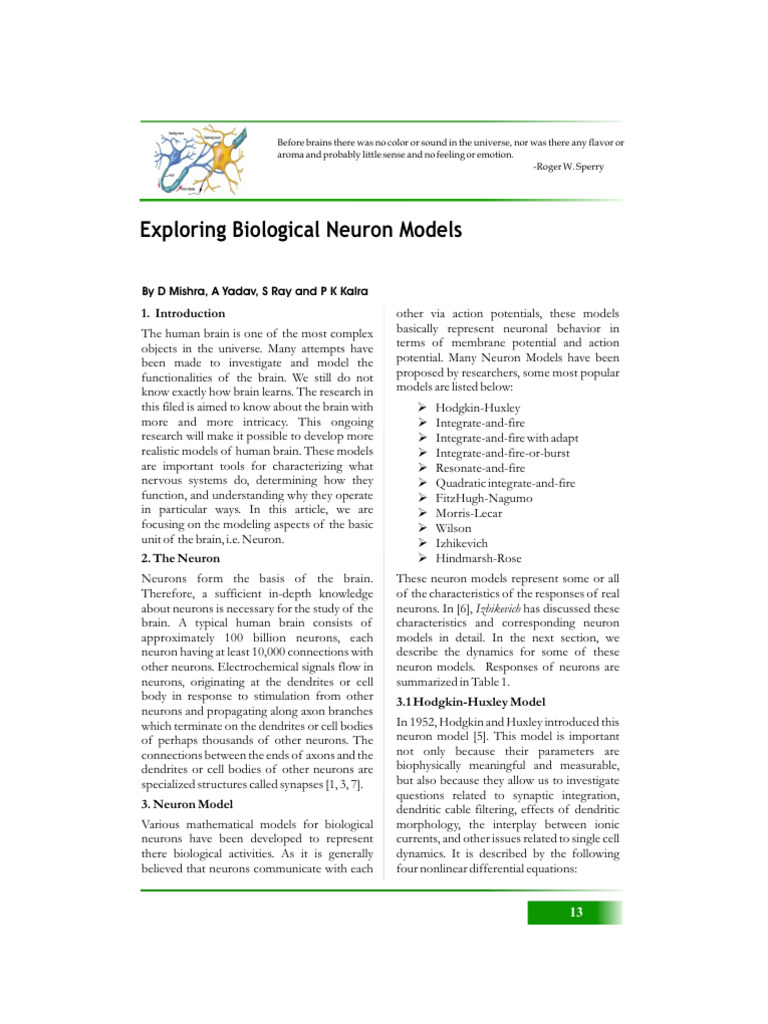 Exploring Biological Neuron Models - Simulink | PDF | Dendrite | Neuron