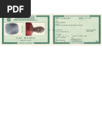 RG NOVO MODELO 24 | PDF