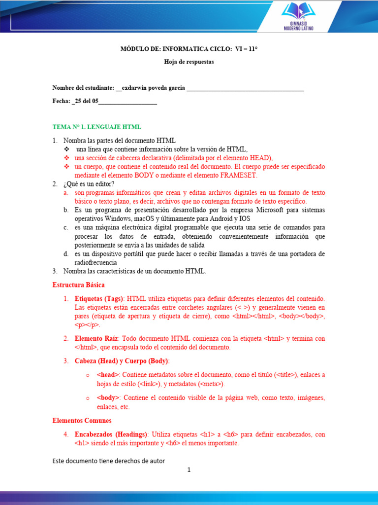 Hoja de Actividades Informatica VI | PDF | HTML | Software
