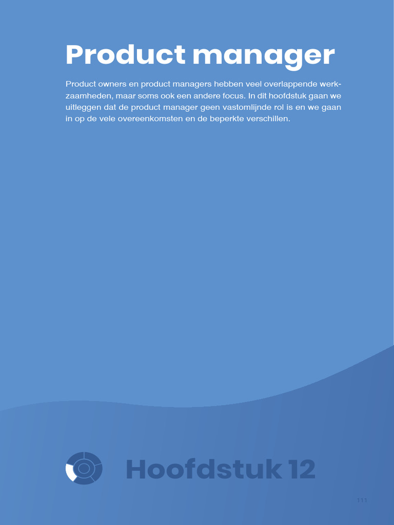 Wat Is Een Product Manager? | PDF