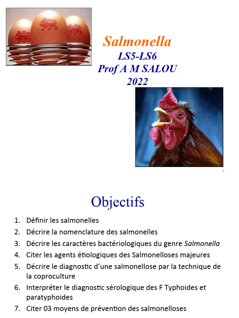 Salmonella Shigella - Copie 2 | PDF | Salmonelle | Microbiologie