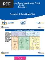 2025 Atp Grade 11 LFSC | PDF | Digestion | Photosynthesis