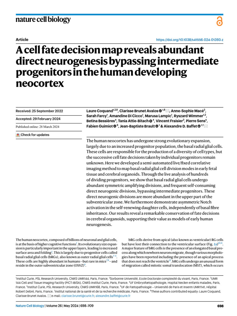 A Cell Fate Decision Map Reveals Abundant Direct Neurogenesis Bypassing ...