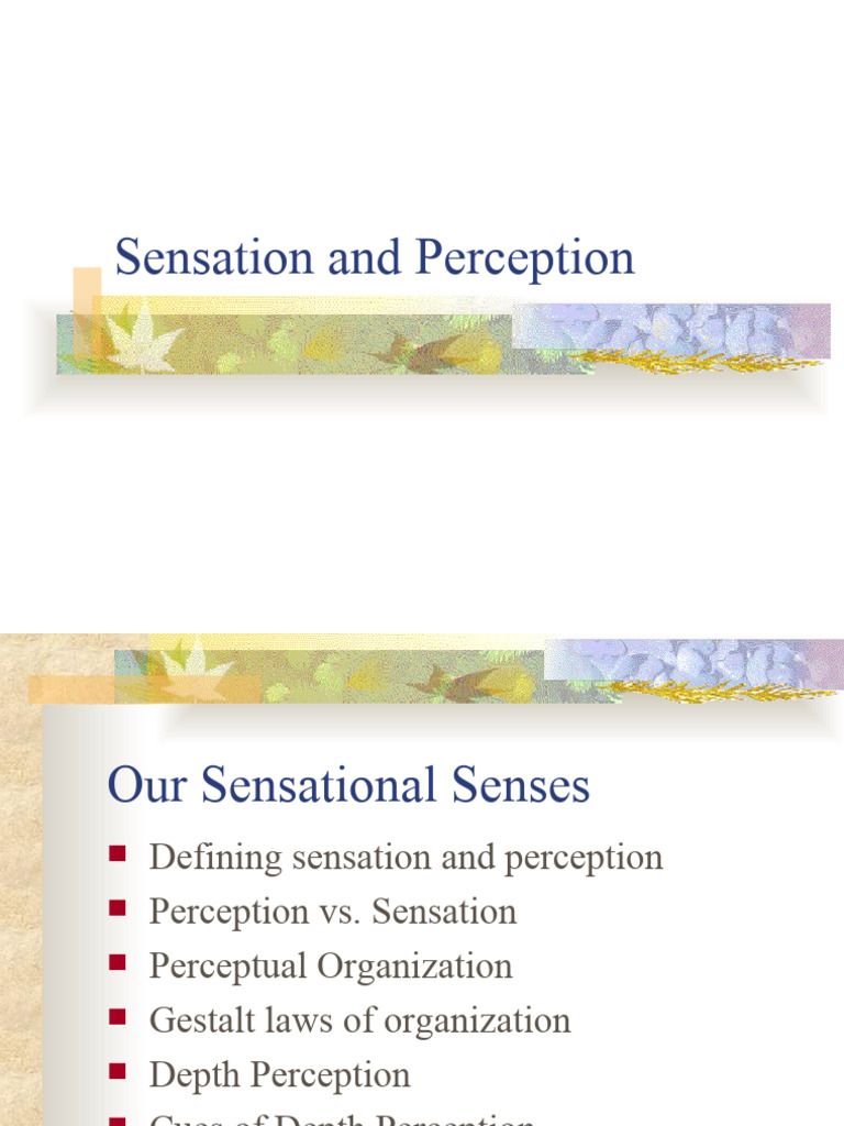 Chap 3 Sensation Perception | PDF | Senses | Perception