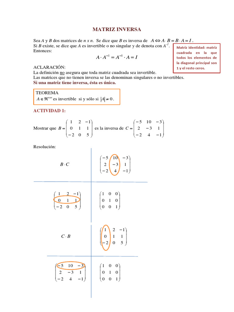 Matriz Inversa | PDF | Matriz (Matemáticas) | Ecuaciones