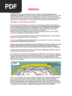 Anatomia da Região Inguinal e Canal Inguinal | PDF | Testículo | Anatomia