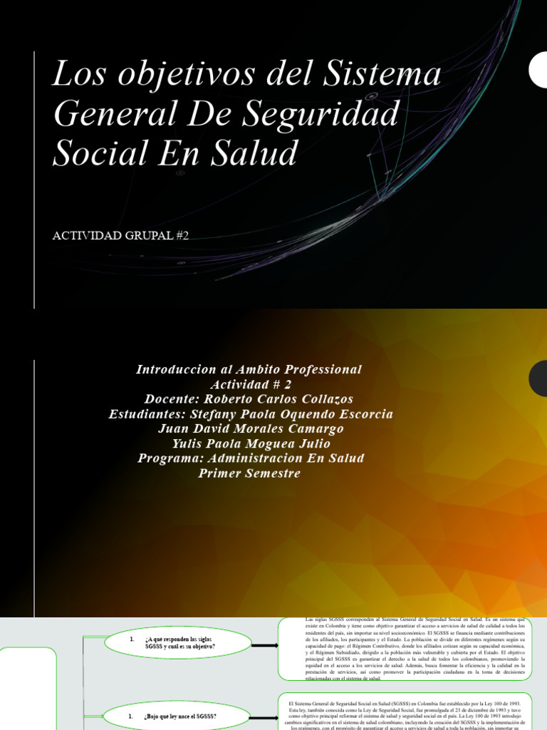SGSSS GRUPAL | PDF | Cuidado de la salud