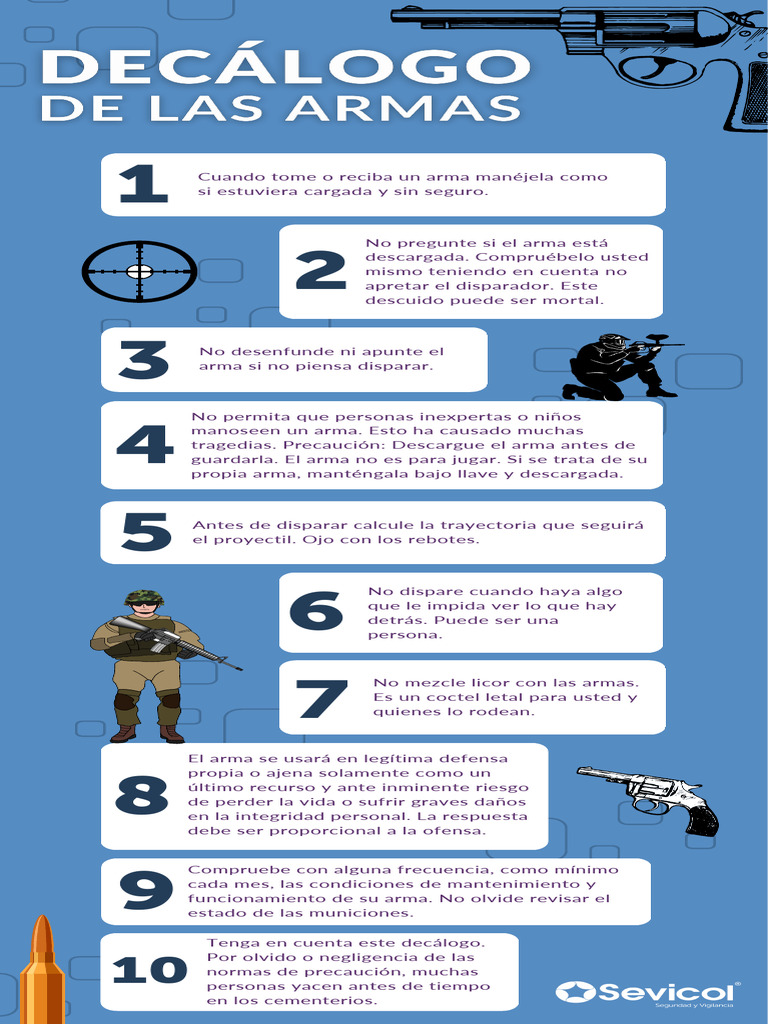Decálogo de Seguridad con Armas | PDF