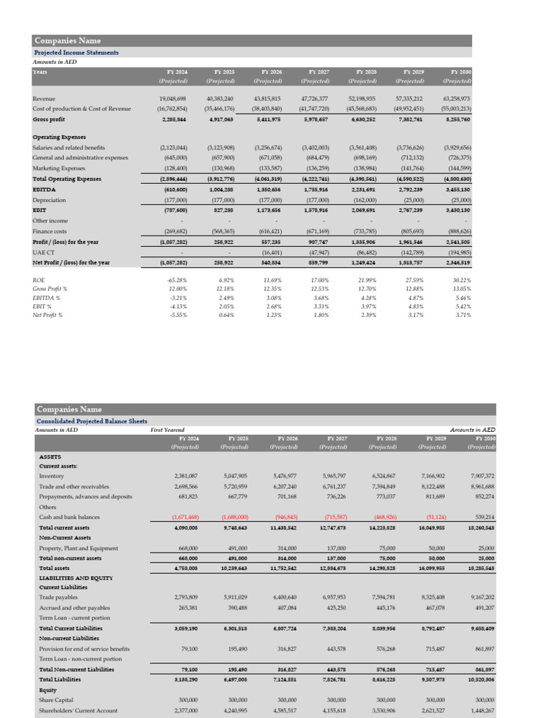 Financial Projections Overview 2024-2030 | PDF | Equity (Finance) | Expense