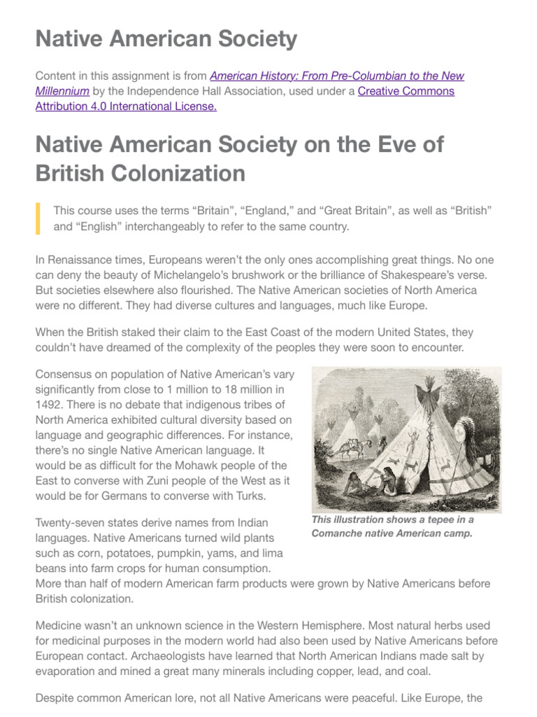 Native American Societies Pre-Colonization | PDF | Iroquois | Native ...