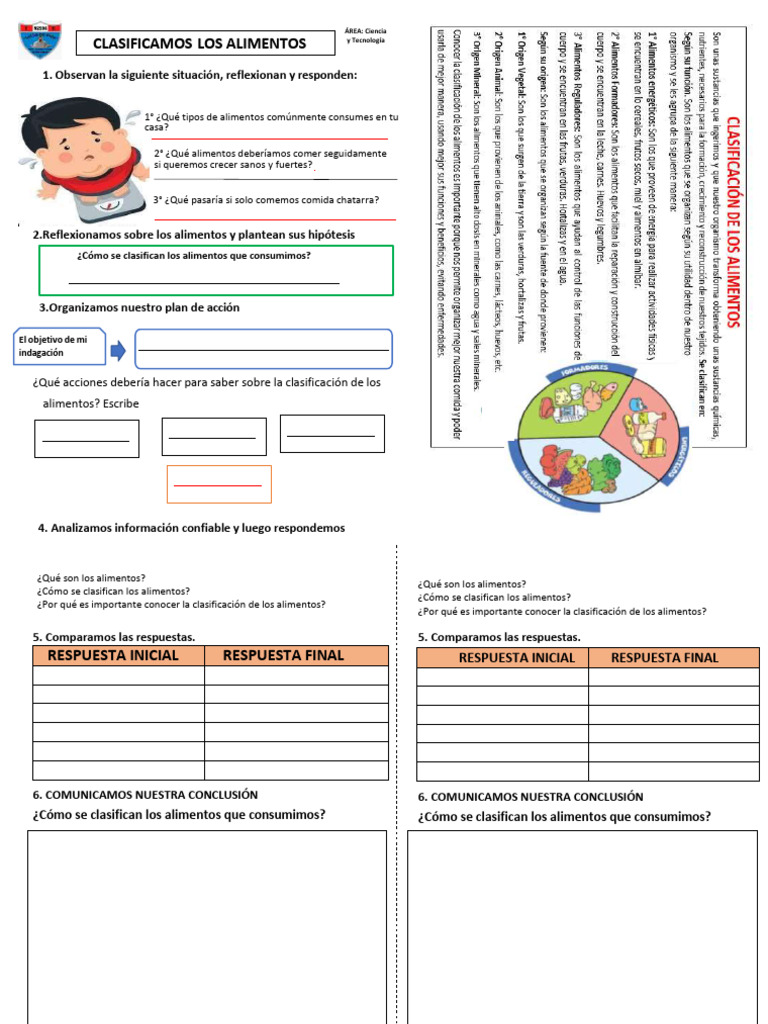 Ficha-Ct - Los Alimentos Segun Su Origen y Funcion | PDF | Autosuperación | Bienestar
