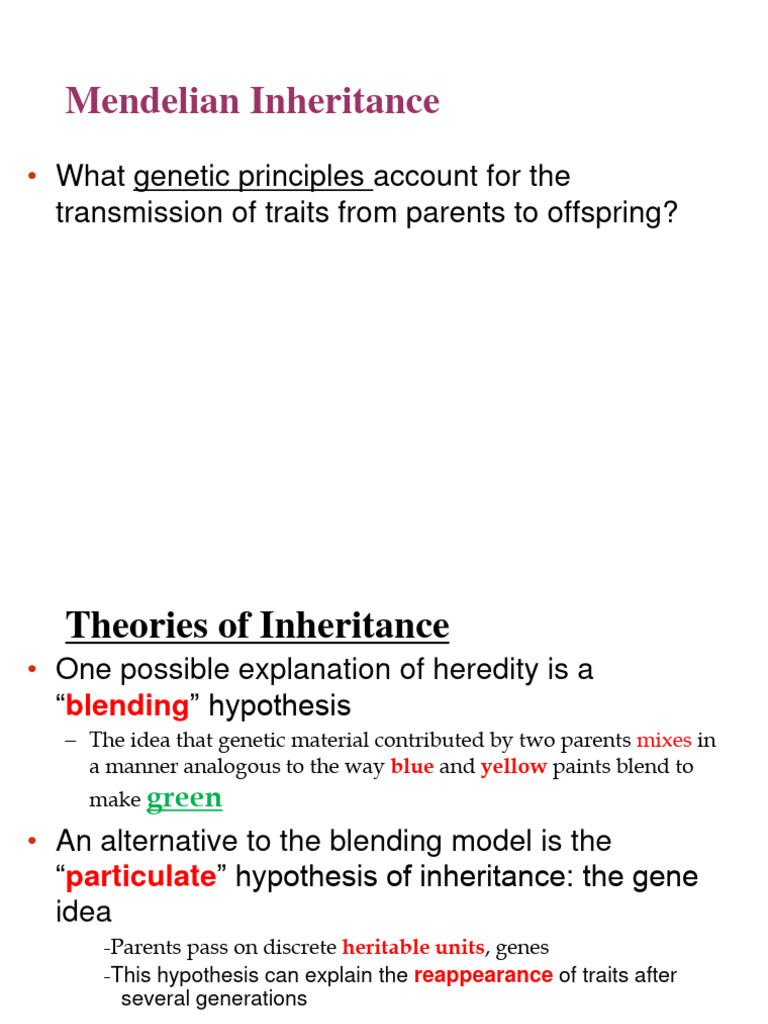 Mendelian Inheritance | PDF | Dominance (Genetics) | Meiosis