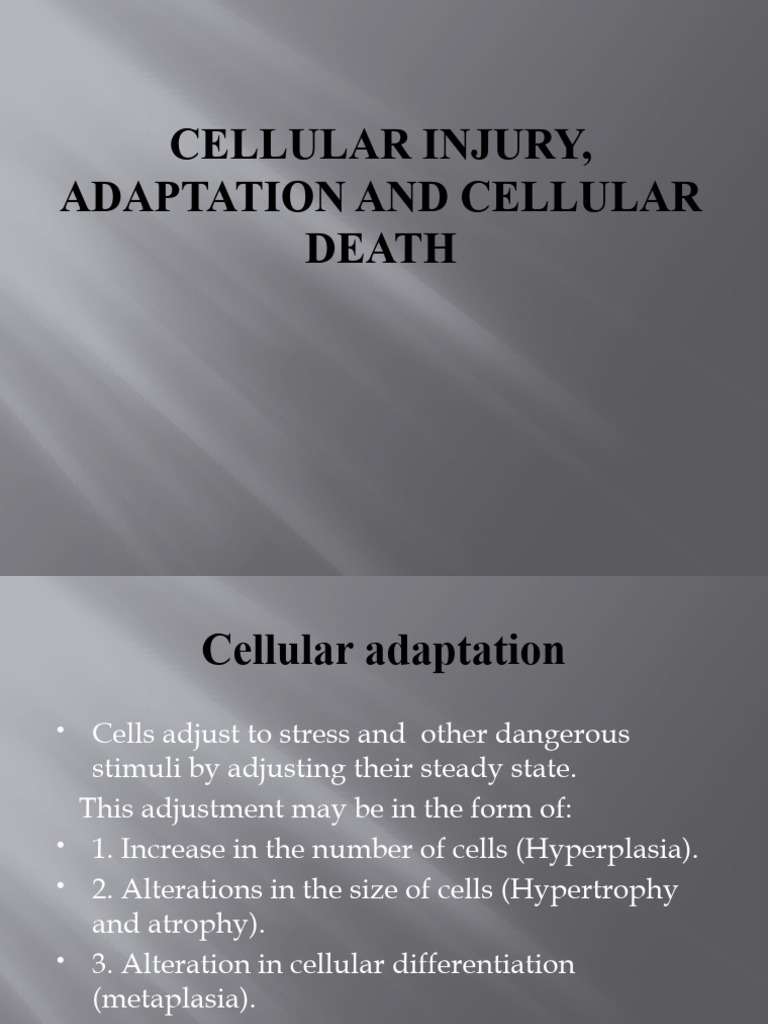 Cellular Injury, Adaptation and Cellular Death | PDF | Adenosine ...