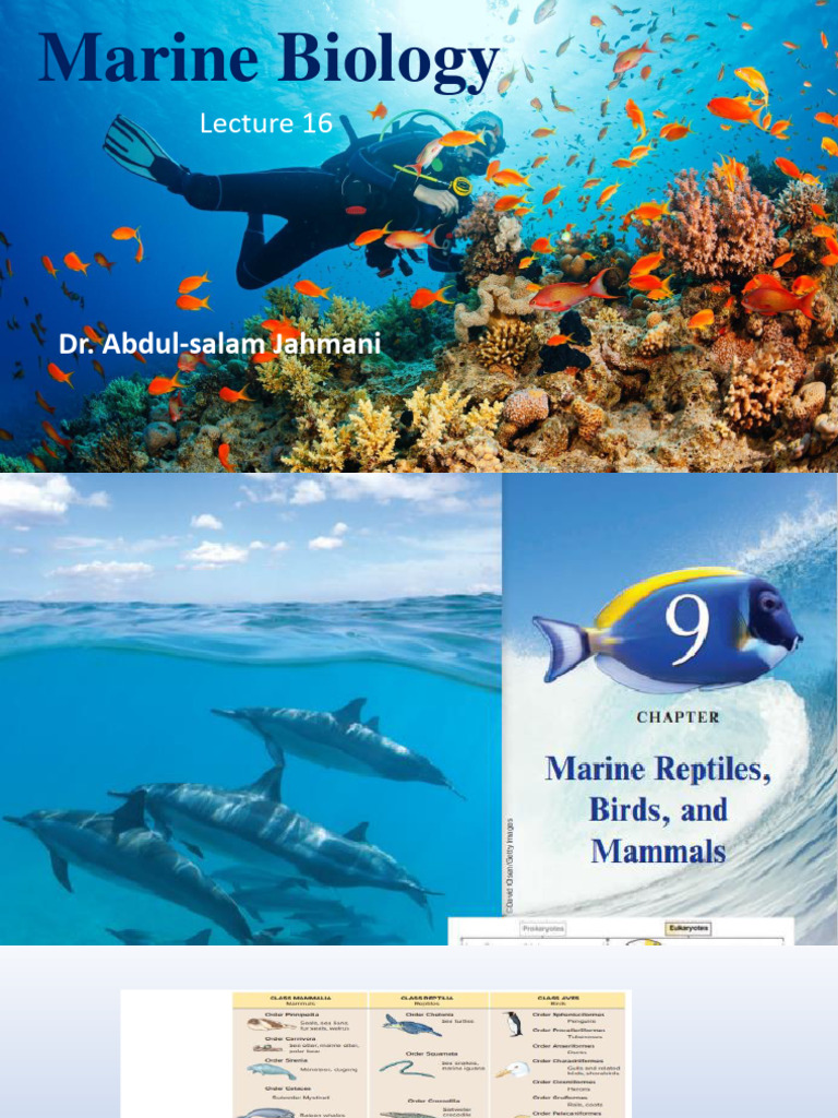 Marine Biology - Lec 16 | PDF | Seabird | Pinniped