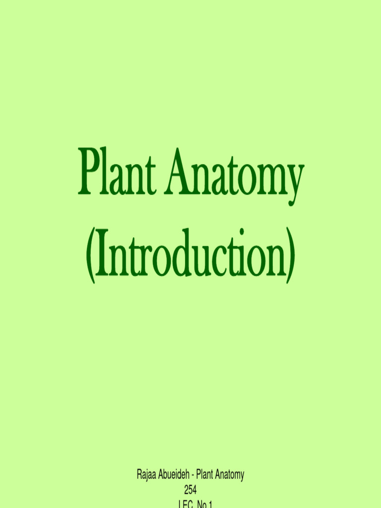 Introduction to Plant Anatomy | PDF | Tissue (Biology) | Plant Stem