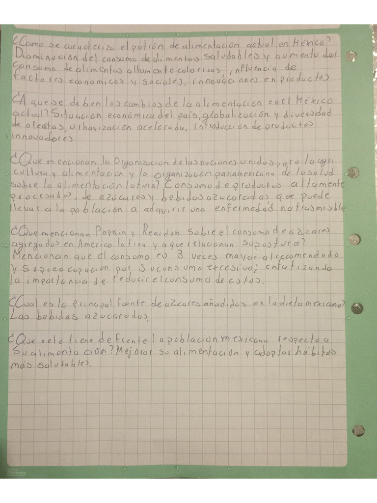 Act02 Patrondealimentacionmexicano Lezamasalgadoluisarturo | PDF