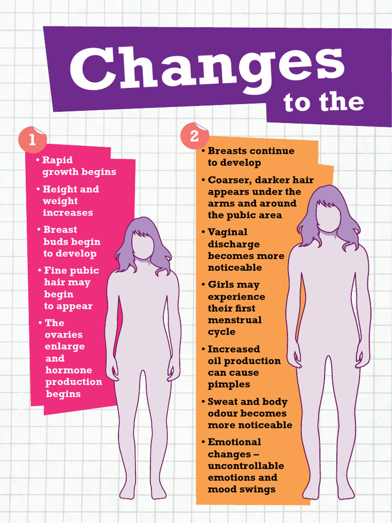 Changes To The Body Class-Display | PDF | Menstrual Cycle | Breast