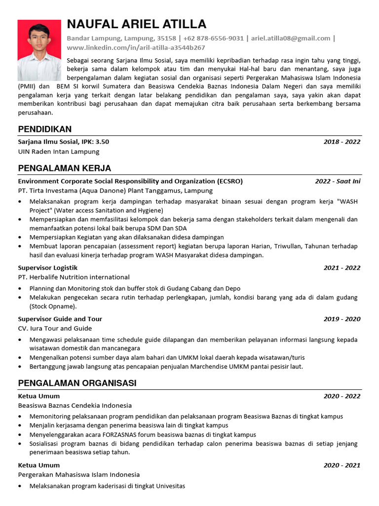 Naufal Ariel Atilla CV | PDF | Karier & Perkembangan