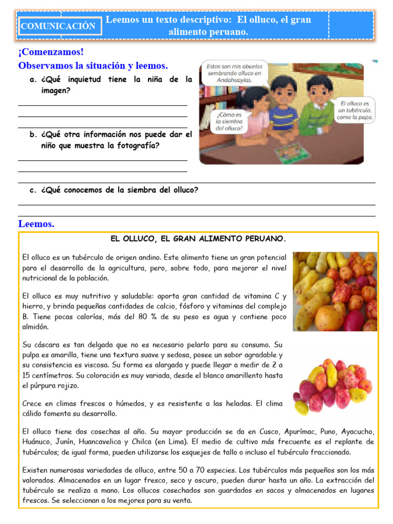 D1 A1 FICHA COM. Leemos Un Texto Descriptivo El Olluco, El Gran Alimento Peruano. | PDF