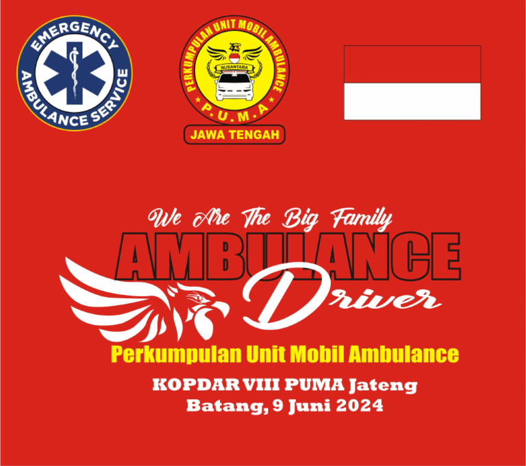 AMBULANCE | PDF