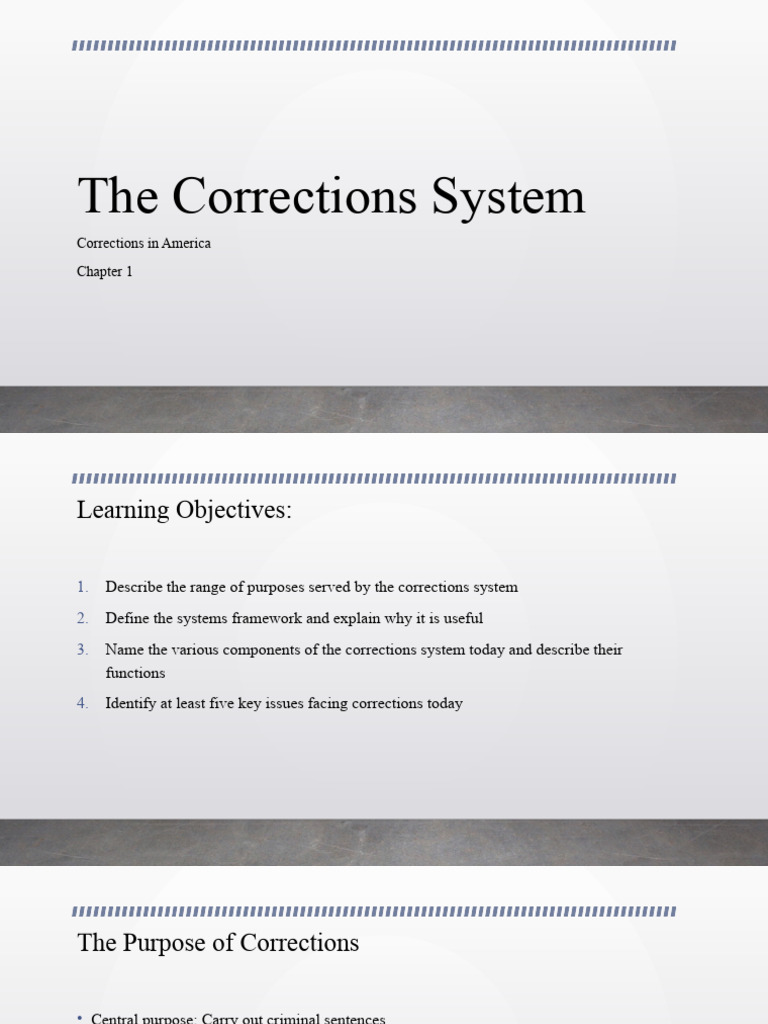 Unit 1 PowerPoint | PDF | Prison | Crimes