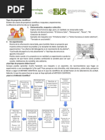 Science Fair 2024 TRIFOLIO | PDF