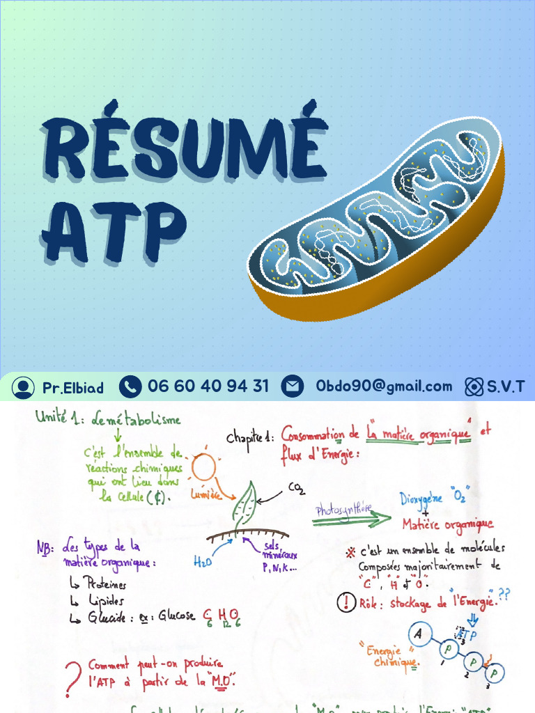 Résumé ATP | PDF