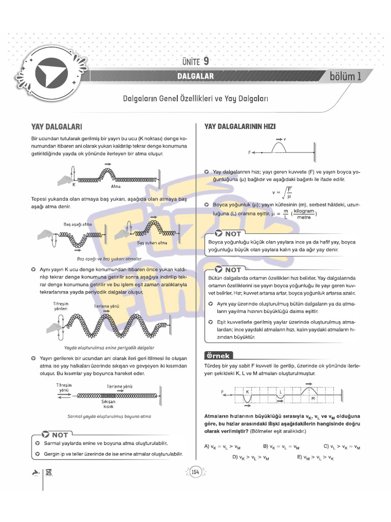 Tyt Fizik Dalgalar Yay Dalgalari Konu Anlatimi PDF | PDF