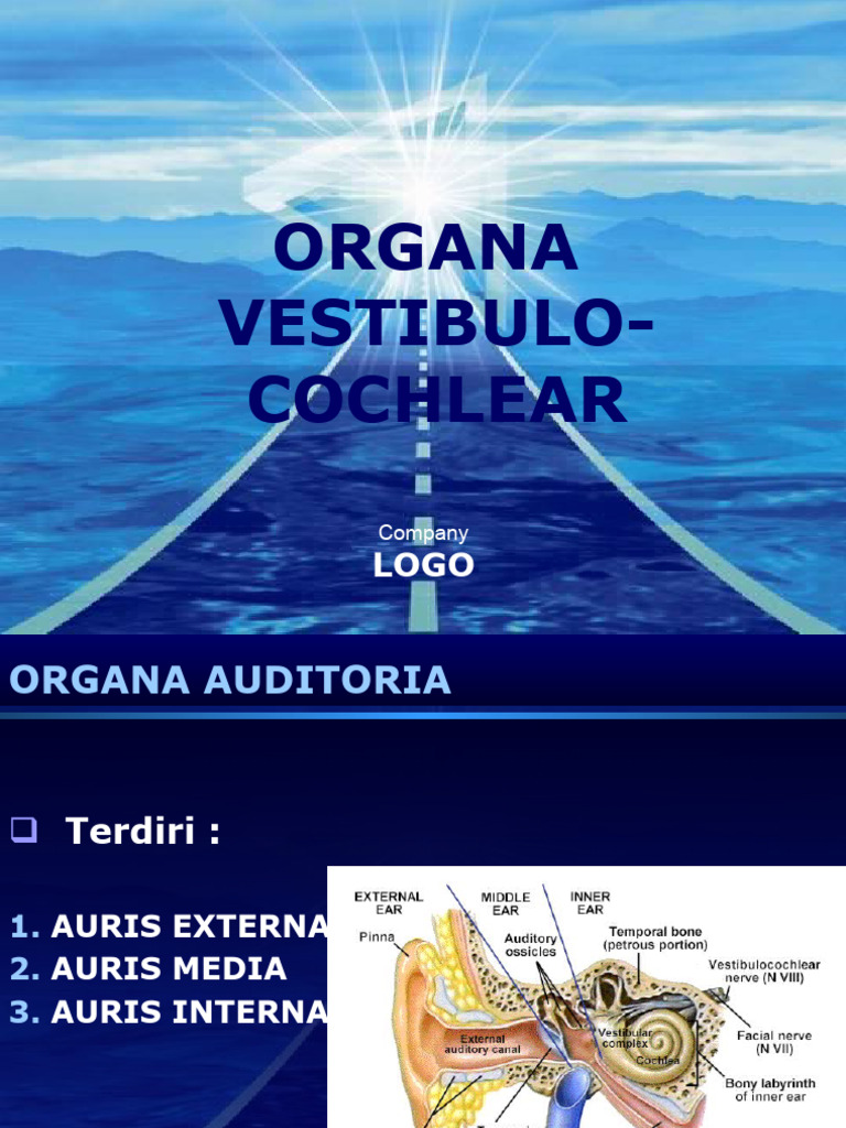 Anatomi Telinga: Ossicula dan Tuba Auditoria | PDF | Kajian Bahasa Asing