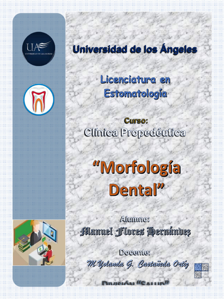 2 1 Morfologia Dental | PDF | Anatomia dental | Diente