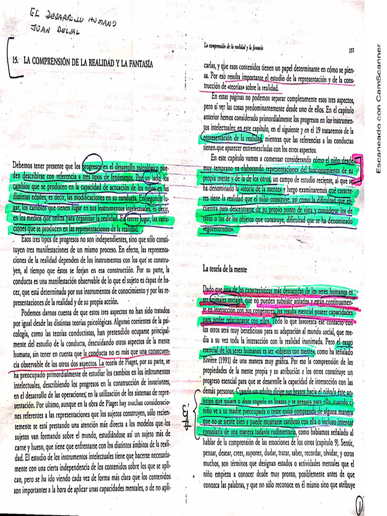 Juan Delval. Teoria de La Mente 1 | PDF