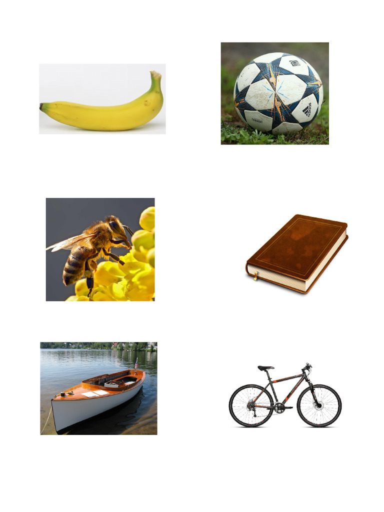 Palabras con B | PDF