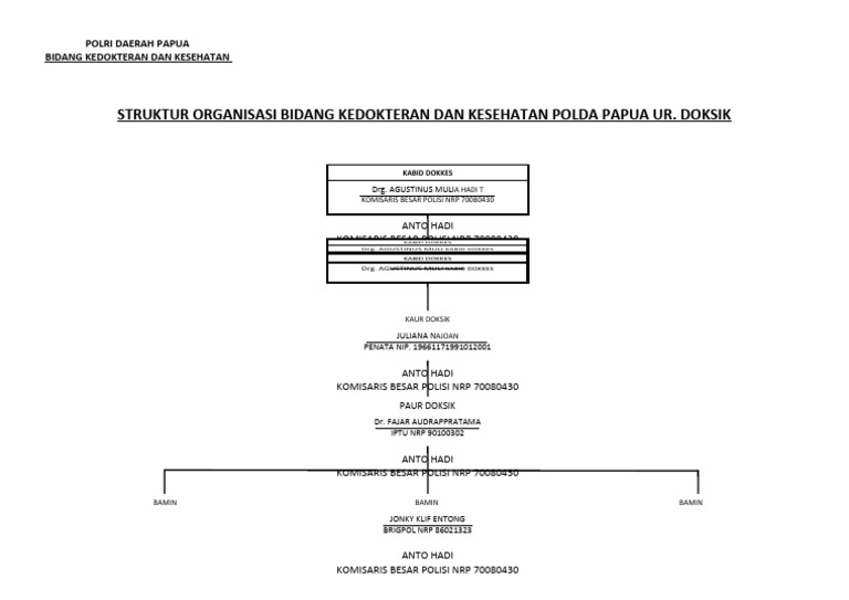 Struktur Organisasi Dokkes Polda Papua | PDF