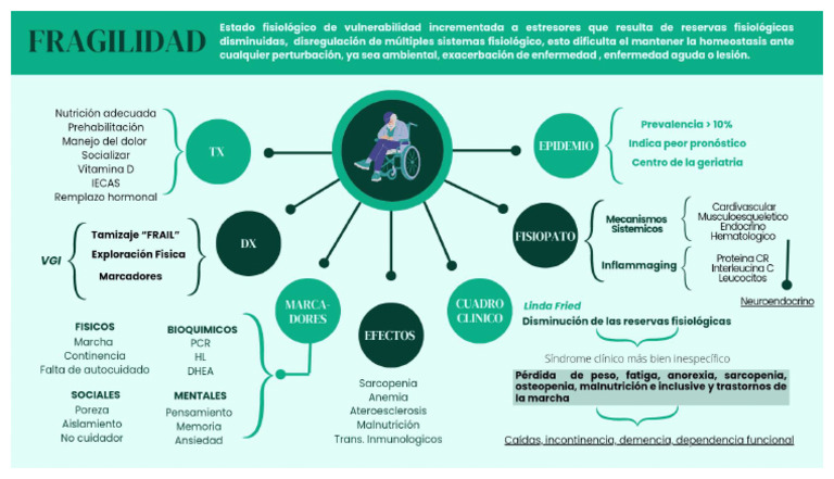 Fragilidad | PDF