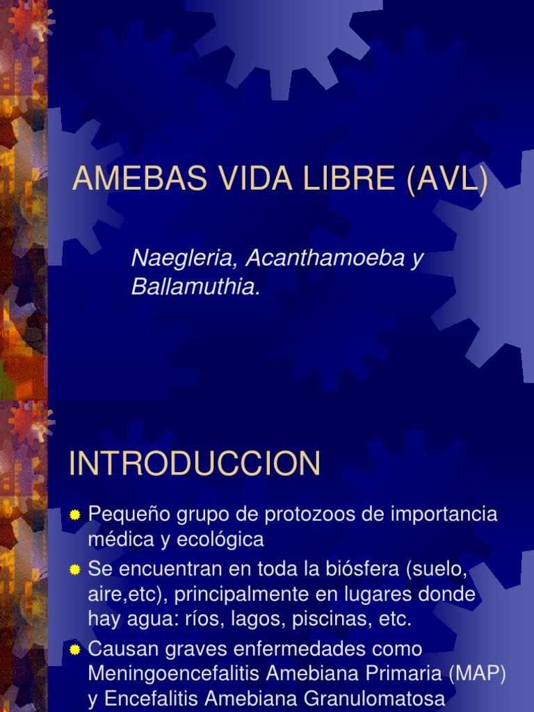 Amebas de Vida Libre 2 | PDF | Especialidades Medicas | Enfermedades y trastornos